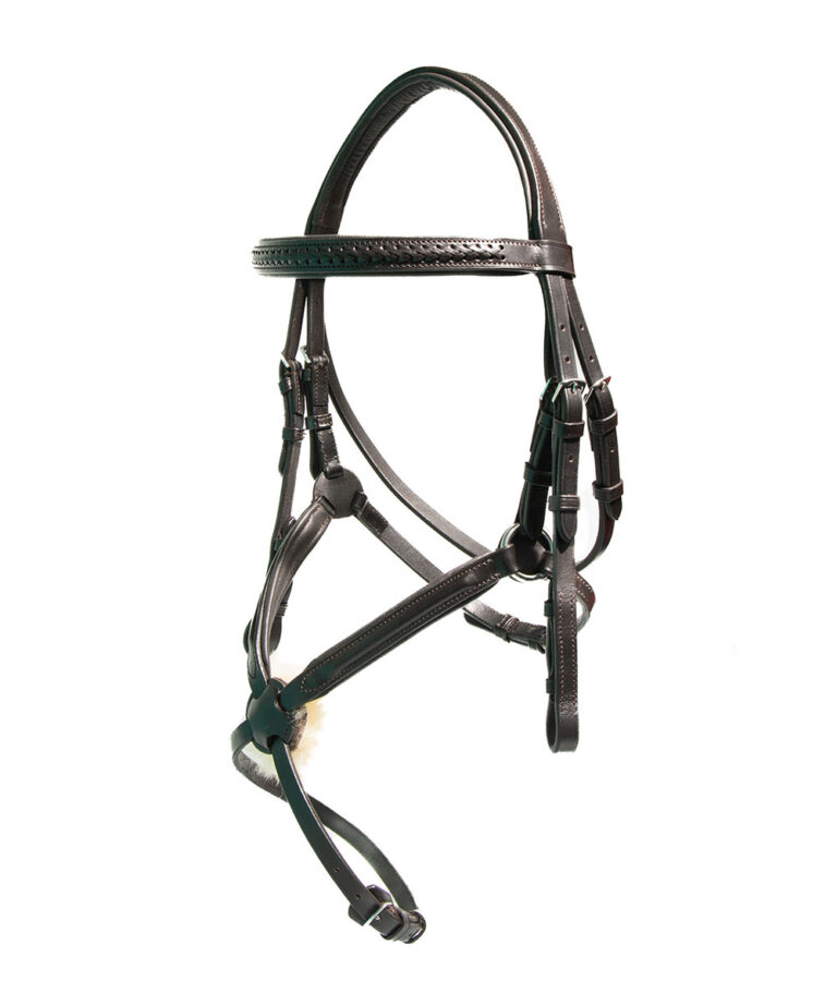 Anatomical Bridles | Vortex Equestrian