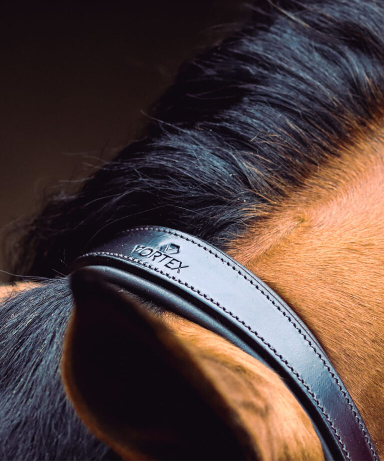 Vortex Showman Bridle | Anatomical Show Bridle