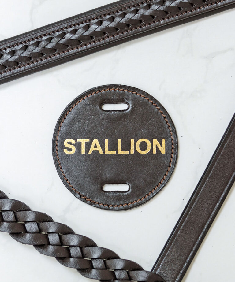 Vortex Leather Stallion Disc | Vortex Equestrian
