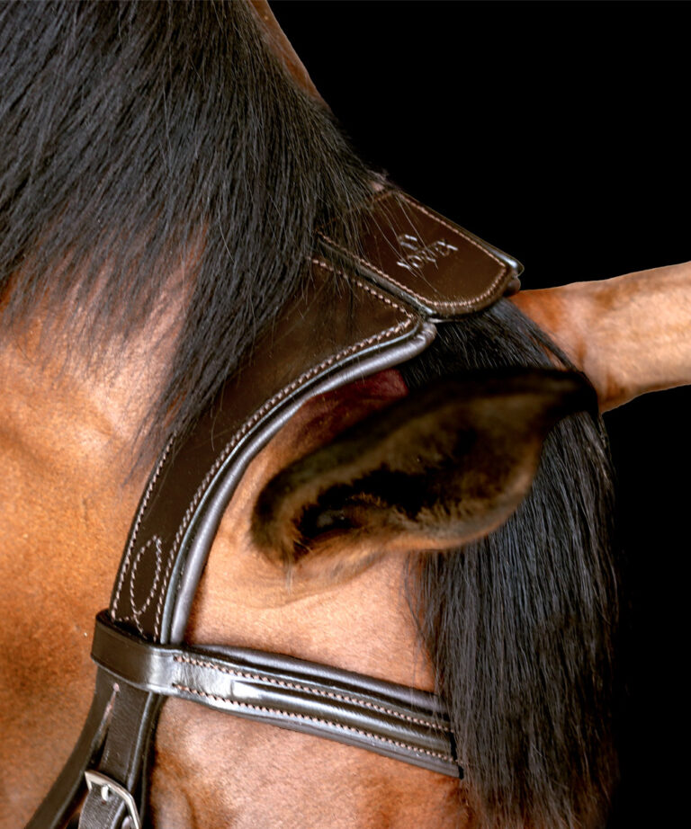 Anatomical Bridles | Vortex Equestrian
