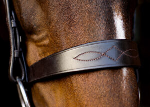 Vortex Showman Bridle | Anatomical Show Bridle